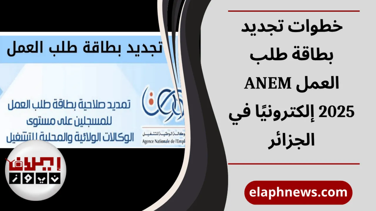 خطوات تجديد بطاقة طلب العمل ANEM 2025 إلكترونيًا